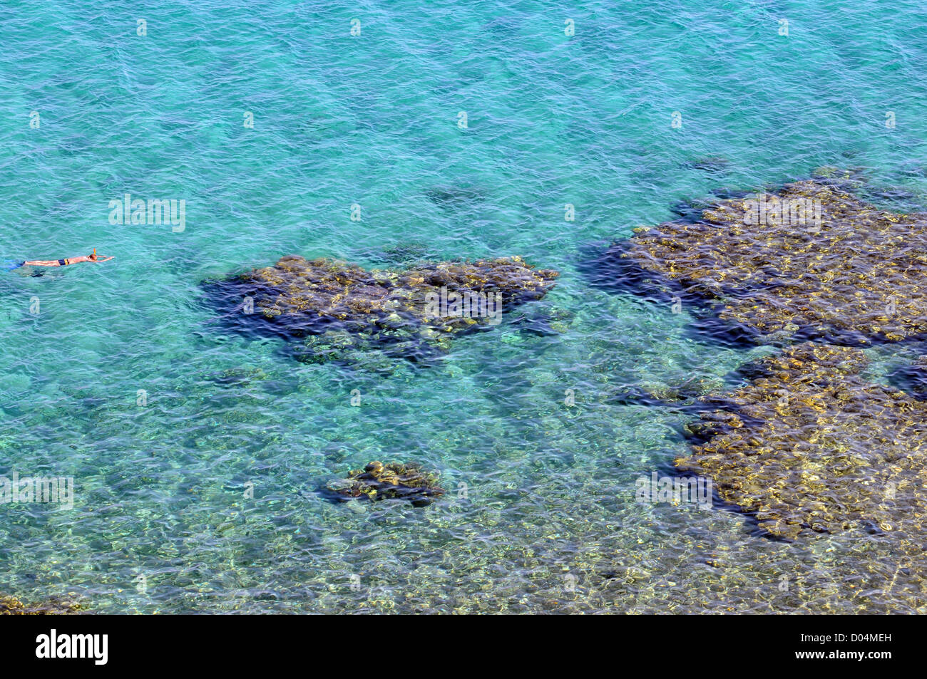 coral reef in Red Sea, Taba, Egypt Stock Photo - Alamy