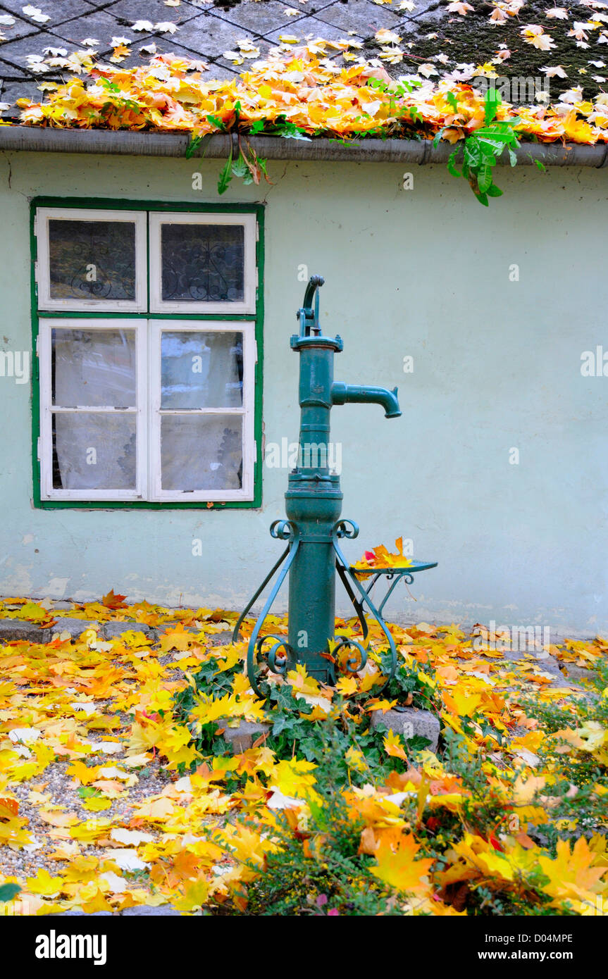 Water fountain with autumn leaves Stock Photo - Alamy