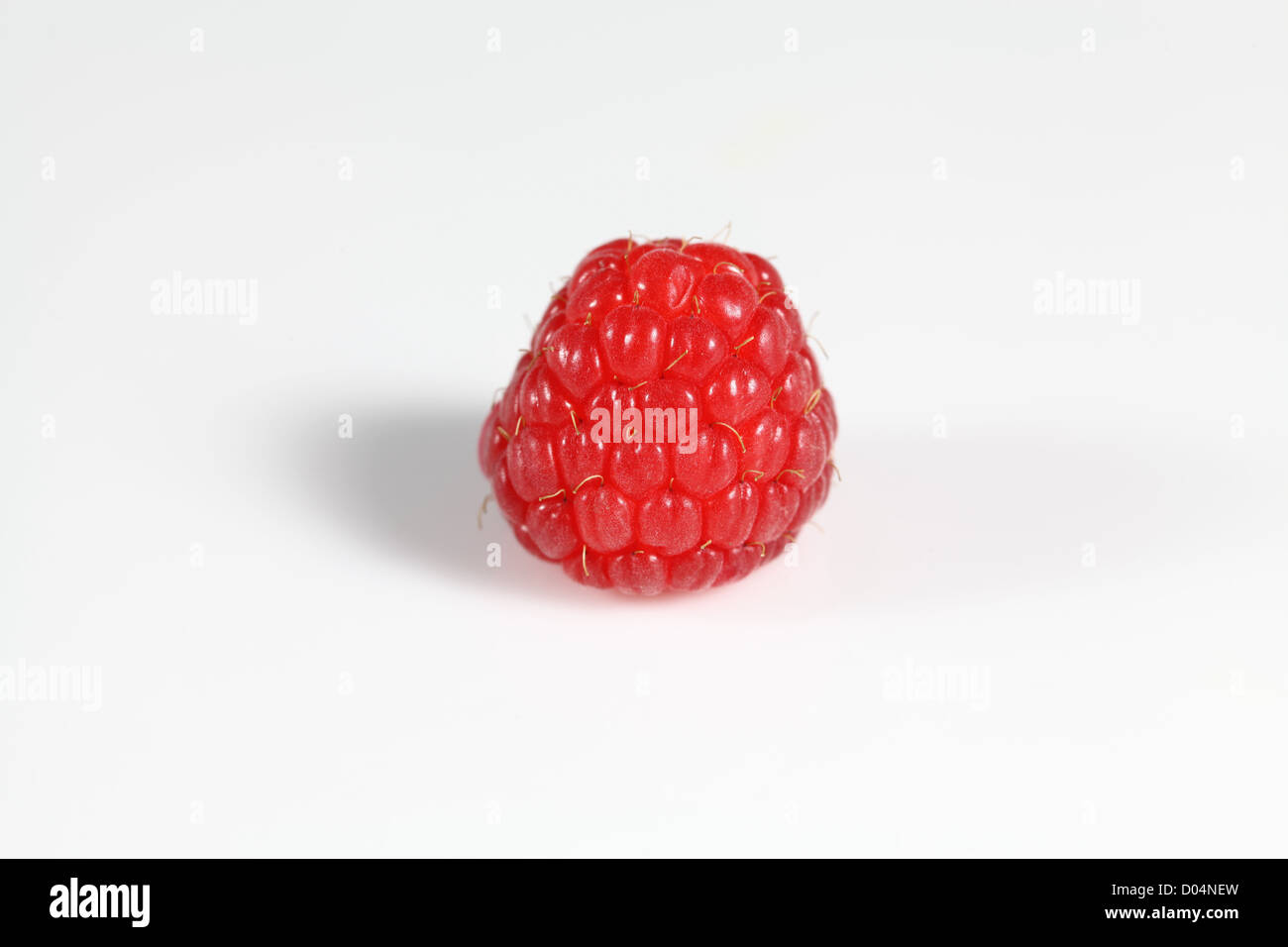 A single raspberry on a white background Stock Photo - Alamy