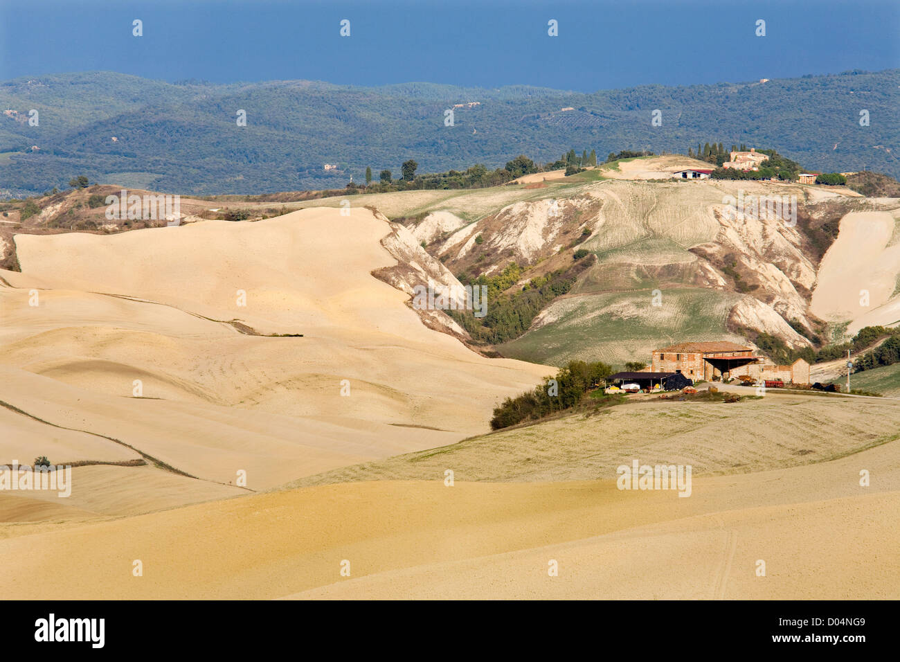 europe, italy, tuscany, siena, crete senesi, landscape Stock Photo - Alamy