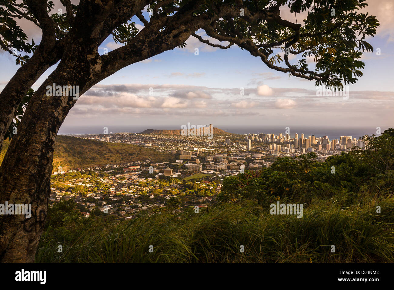 Honolulu landscape hi-res stock photography and images - Alamy