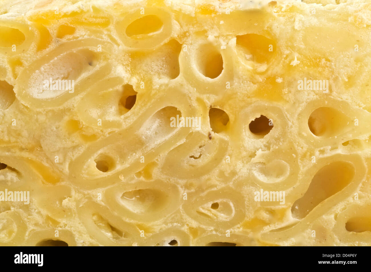 Square macaroni and cheese Stock Photo - Alamy