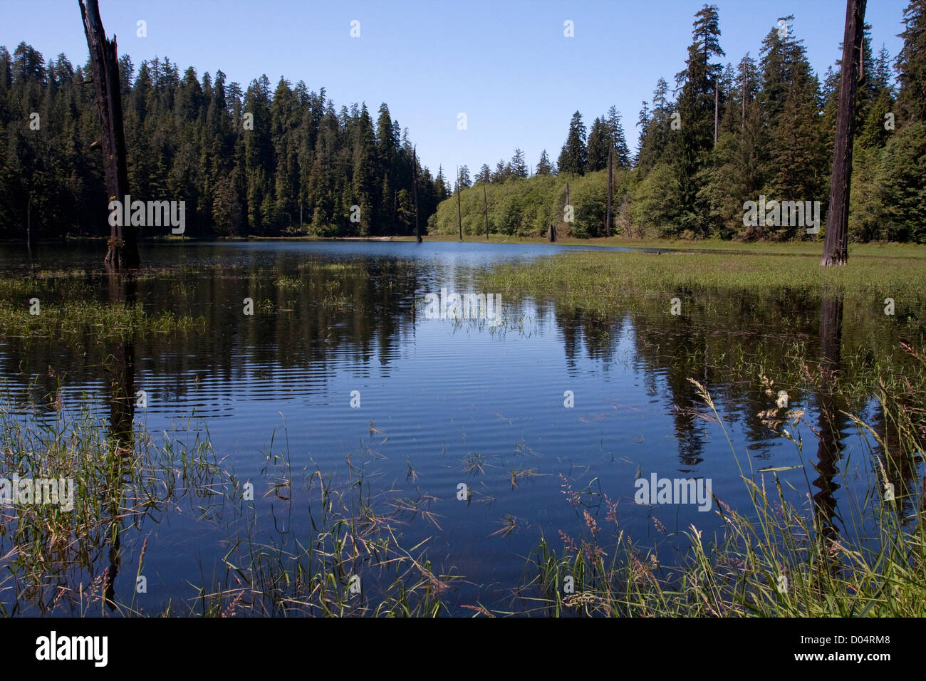 Irely lake hi-res stock photography and images - Alamy