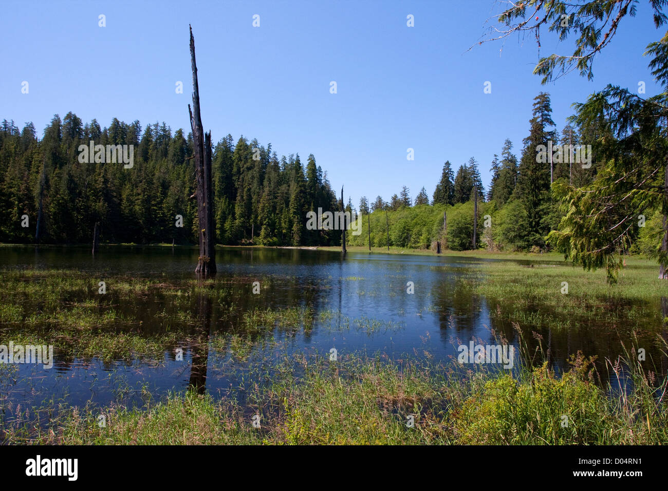 Irely lake hi-res stock photography and images - Alamy