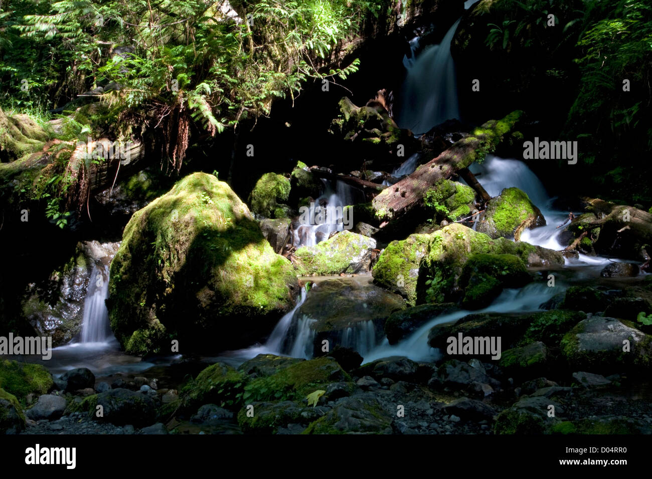 Merriman hi-res stock photography and images - Alamy