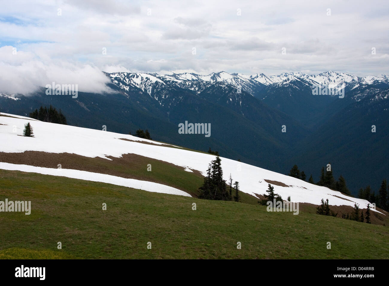 Scenic view of the Olympic Mountain Range in the Olympic National Park ...