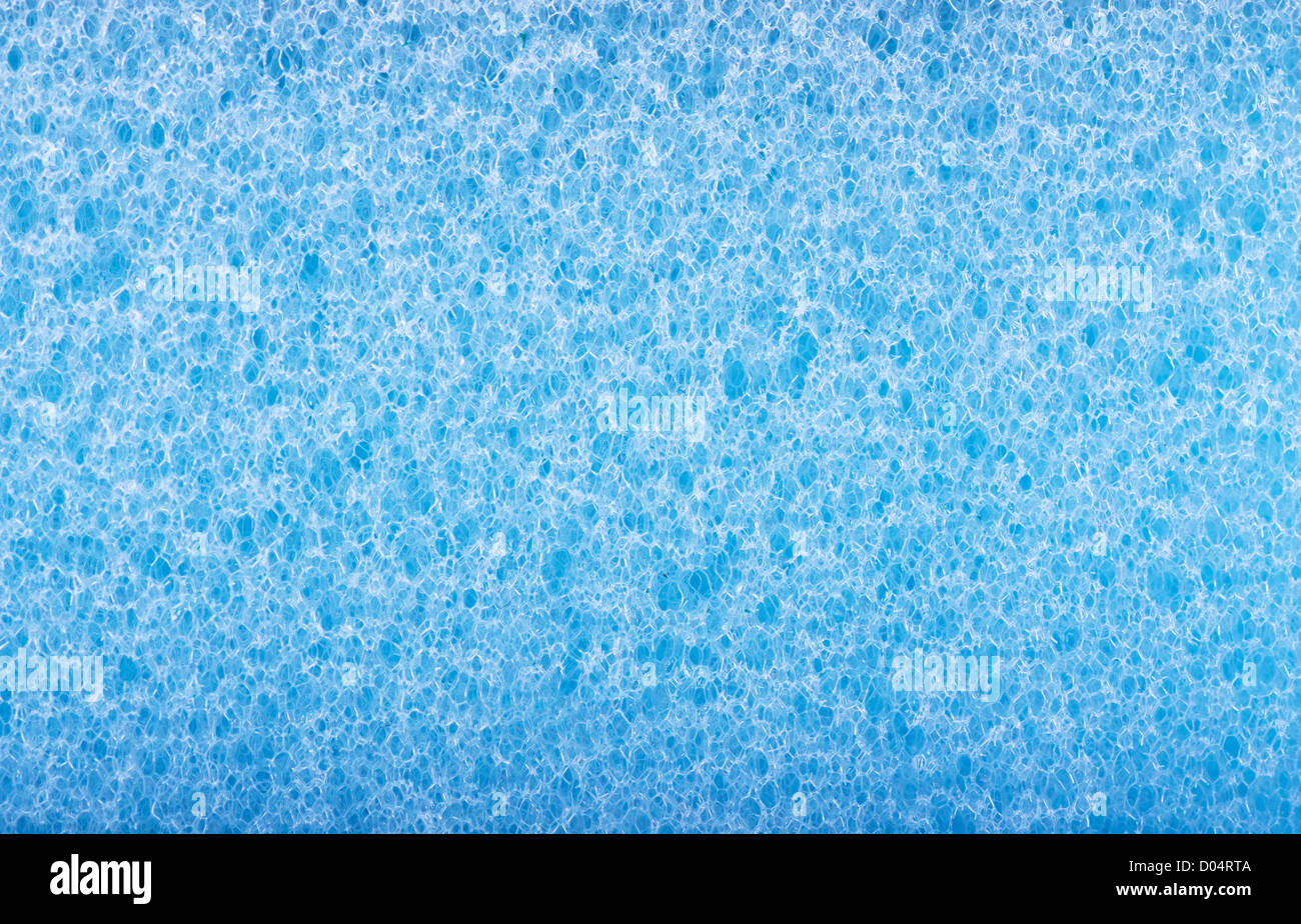 Macro view of sponge. Blue background Stock Photo - Alamy
