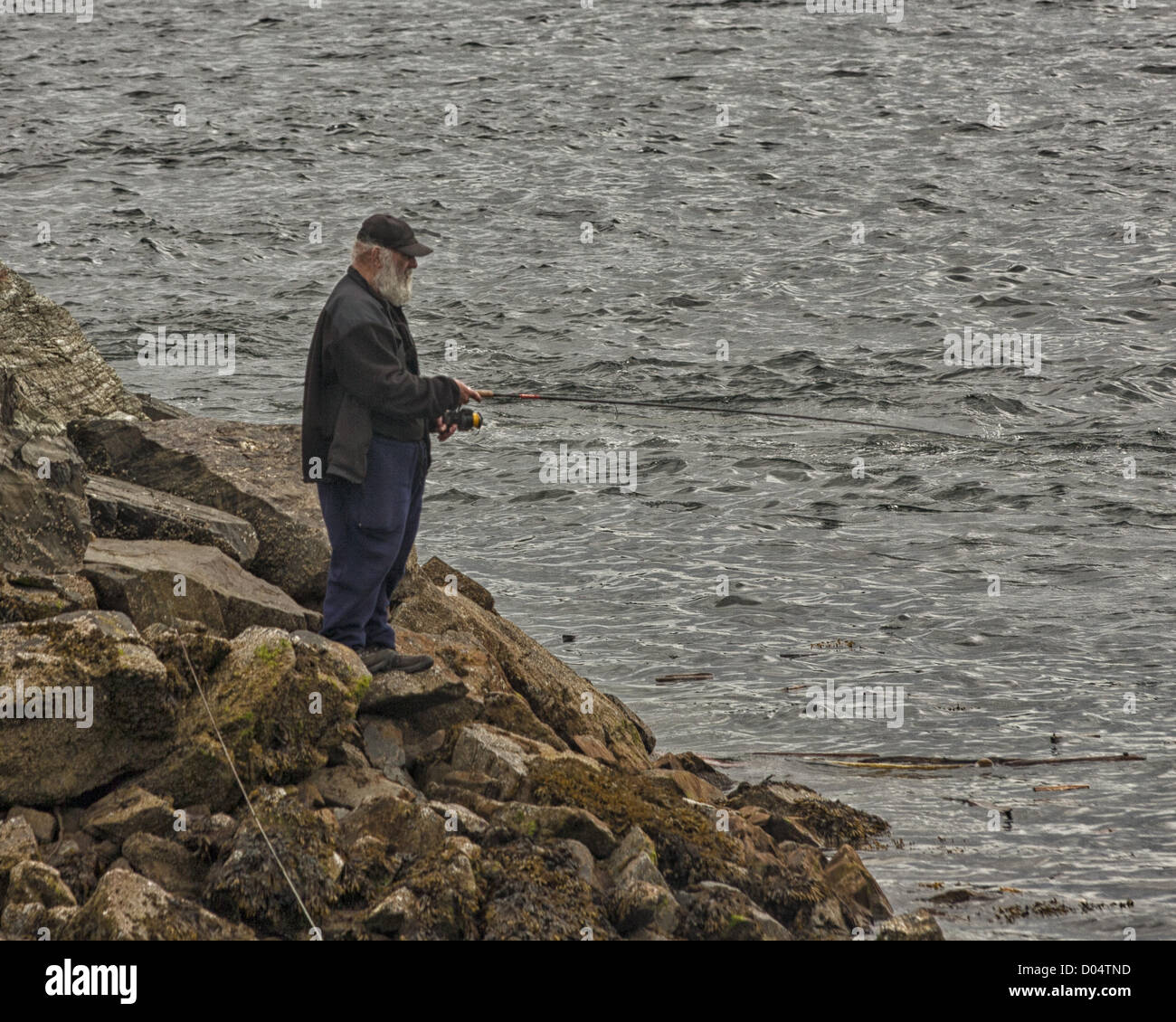 Ketchikan gateway borough hi-res stock photography and images - Alamy
