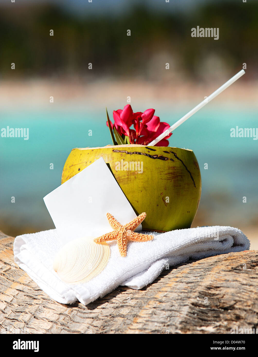 Coconut cocktail starfish tropical Caribbean beach refreshment and ...