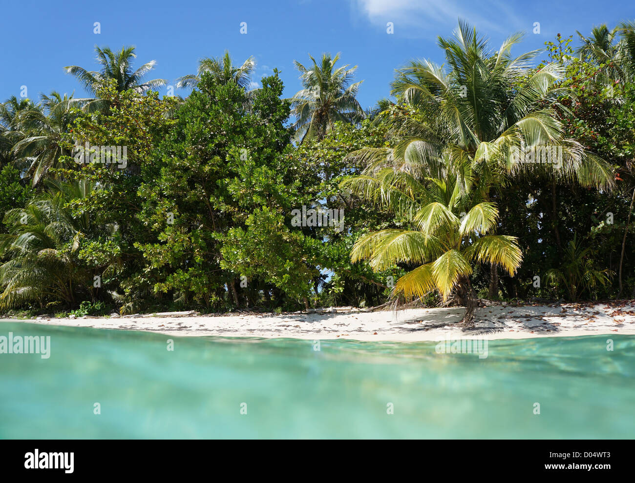 Tropical beach shore with luxuriant vegetation seen from water surface ...