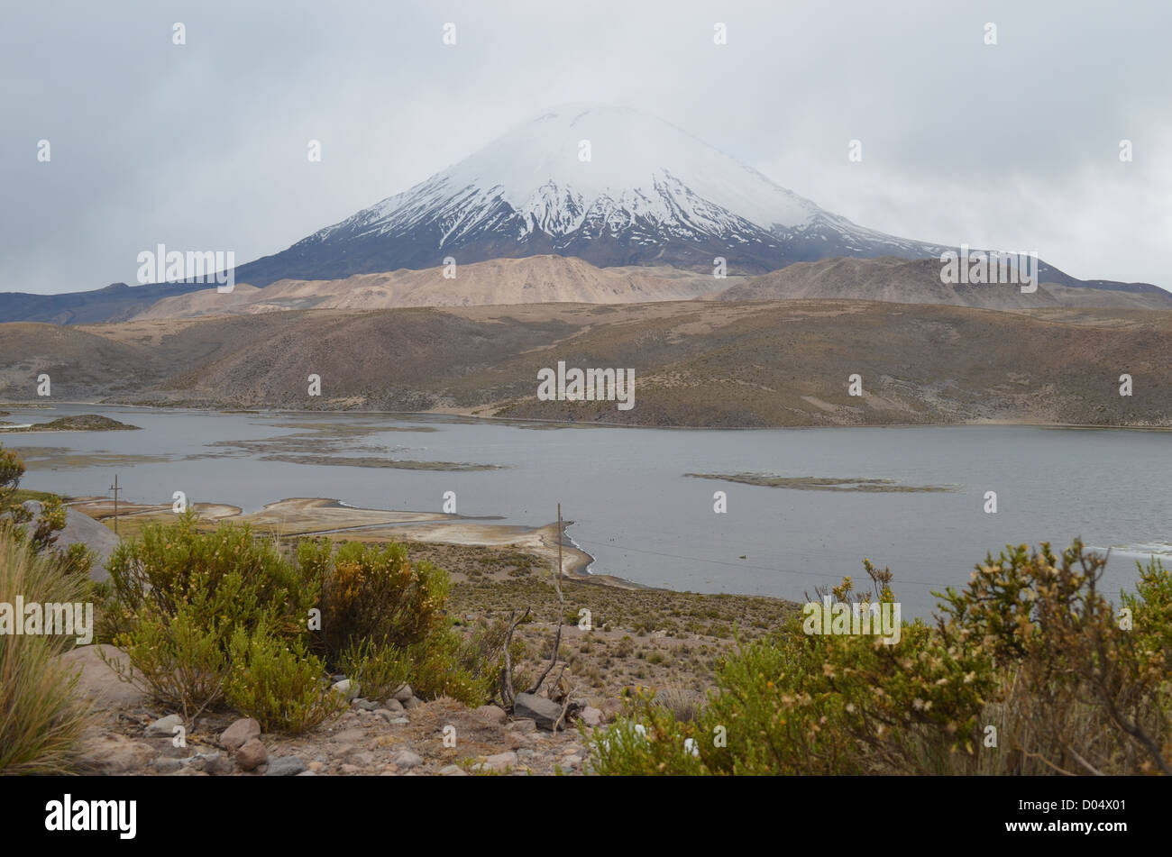 Lauca National Park and Parinacota Strato-Volcano Stock Photo - Alamy