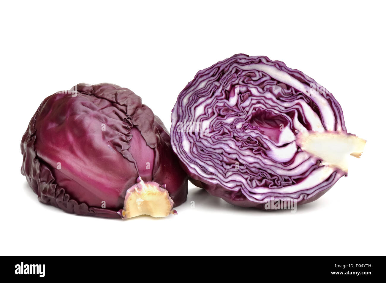 Red cabbage cut in half isolated on white background Stock Photo - Alamy