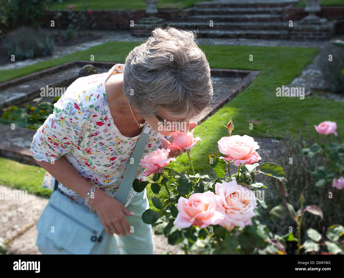 Smelling a rose summer garden hi-res stock photography and images - Alamy