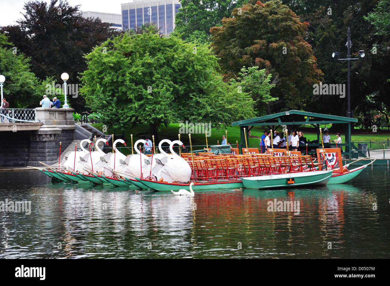 Swan Boat Ride In Public Garden Boston Commons Park Boston swan-boat-ride-in-public-garden-boston-commons-park-boston