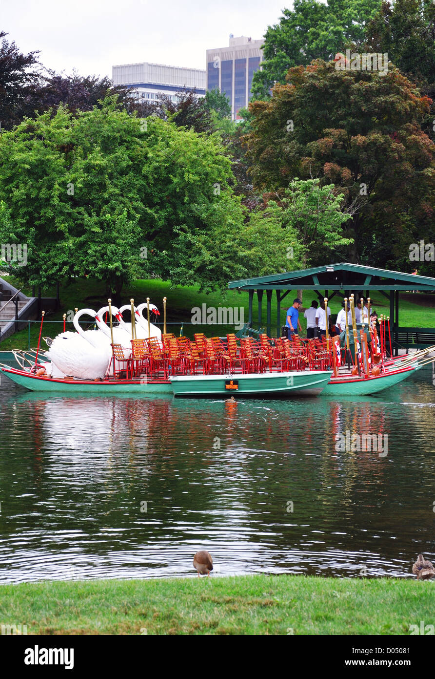 Swan Boat ride in Public Garden, Boston Commons park, Boston ...