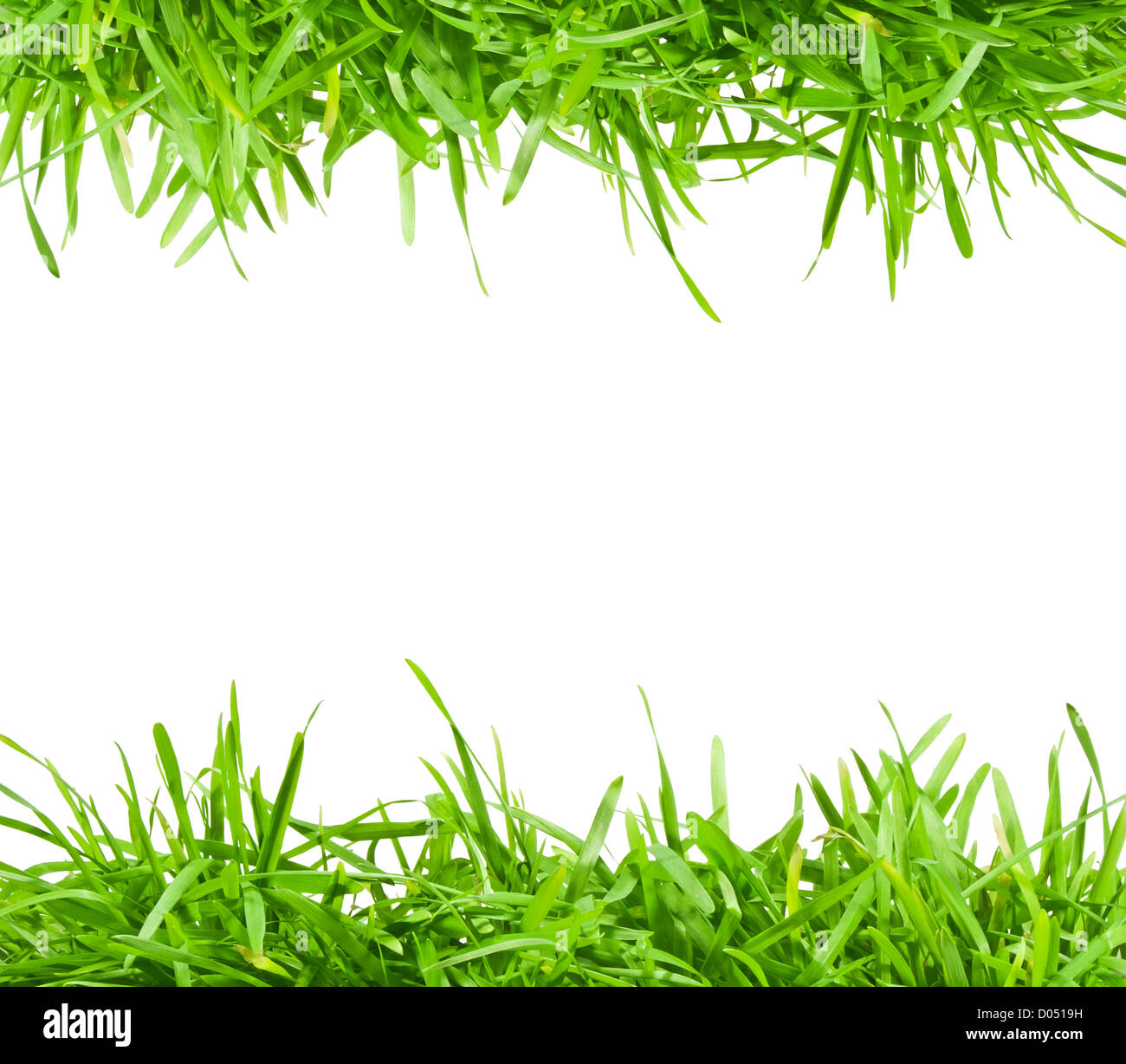 Garden lawn long grass border hi-res stock photography and images - Alamy