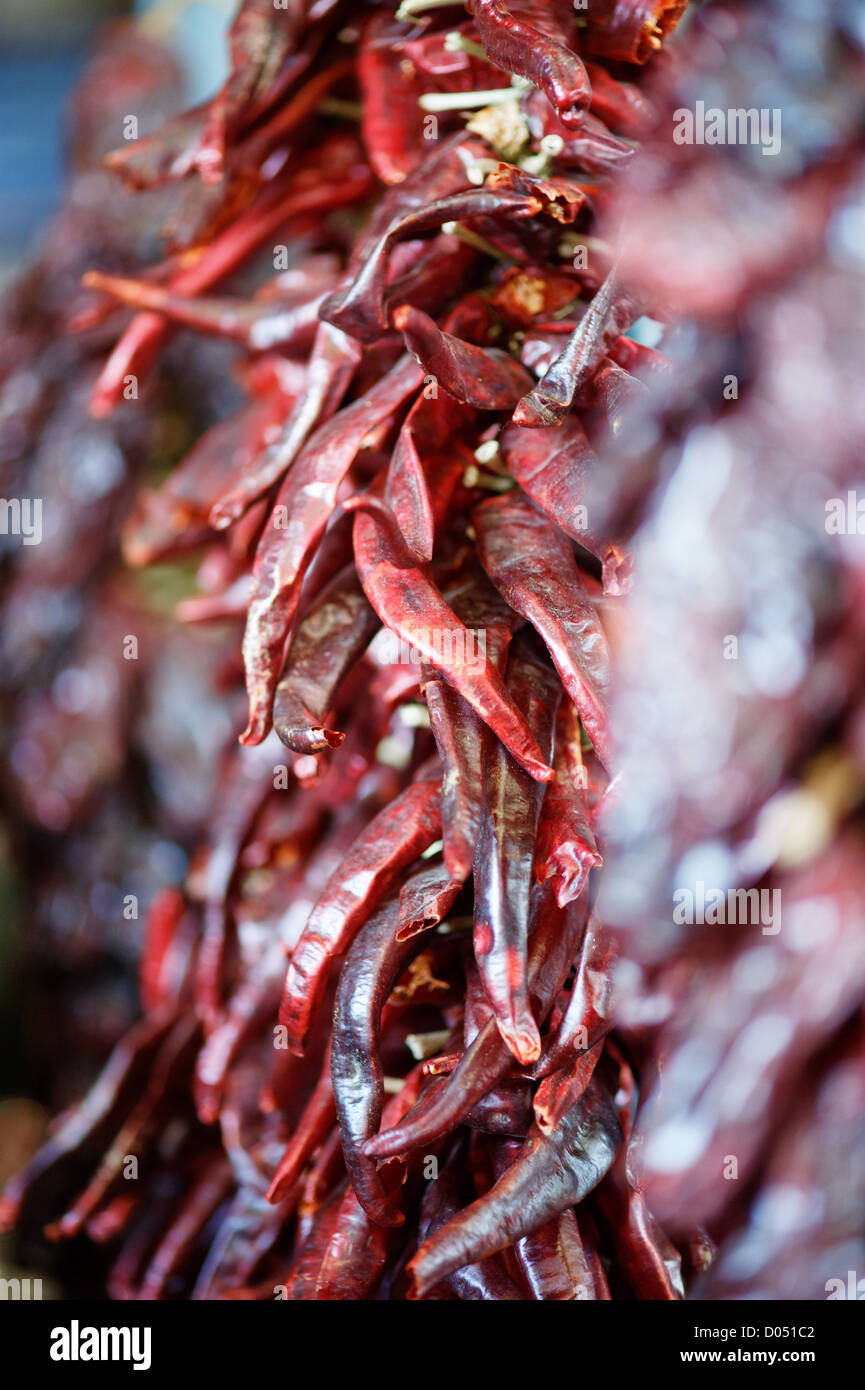Hanging red chillies bunches hi-res stock photography and images - Alamy