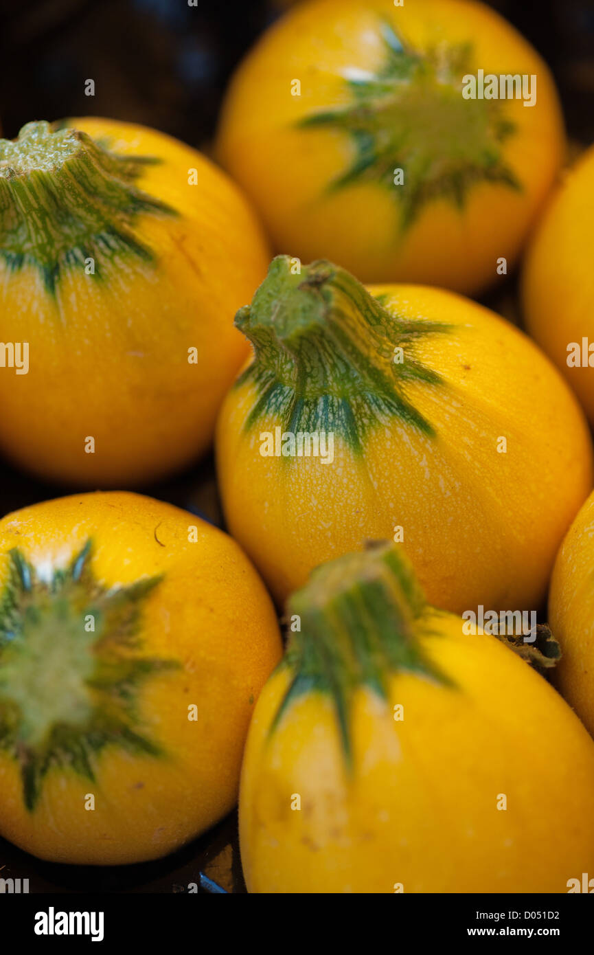 Round Yellow Courgettes Stock Photo - Alamy