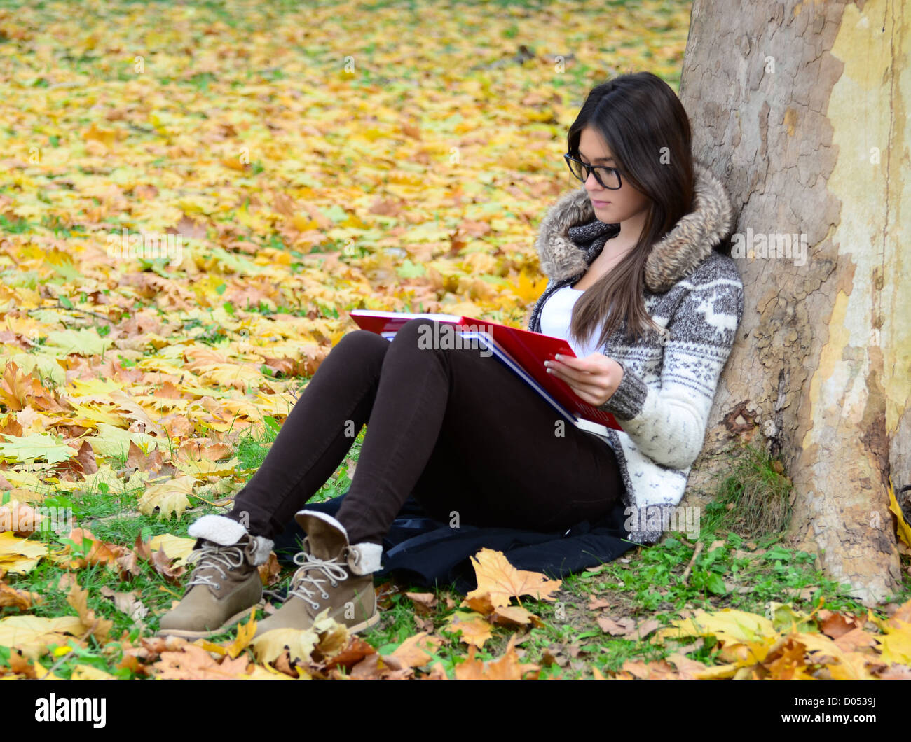 Girl reading in nature Stock Photo - Alamy