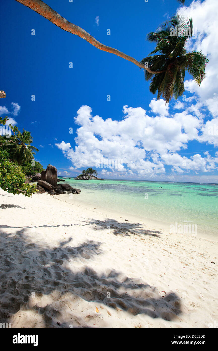 Idyllic tropical beach Stock Photo - Alamy