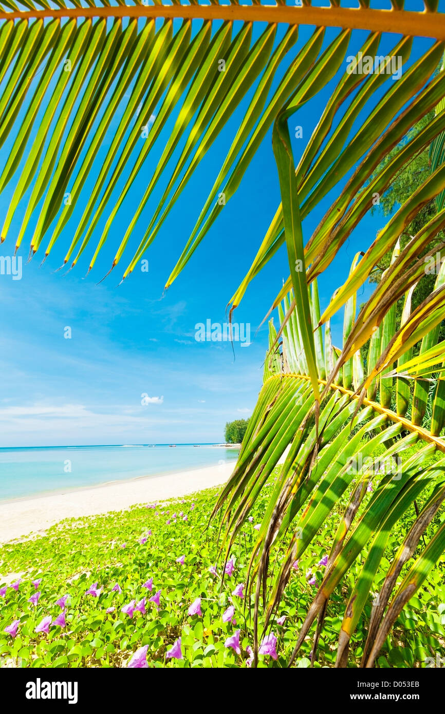 Beautiful shot sandy beach hi-res stock photography and images - Alamy