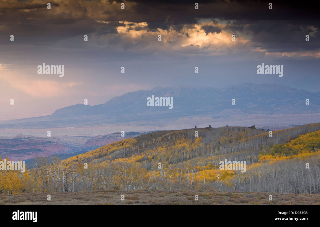 Aspen forests in autumn on Boulder Mountain, with the Henry Mountains ...