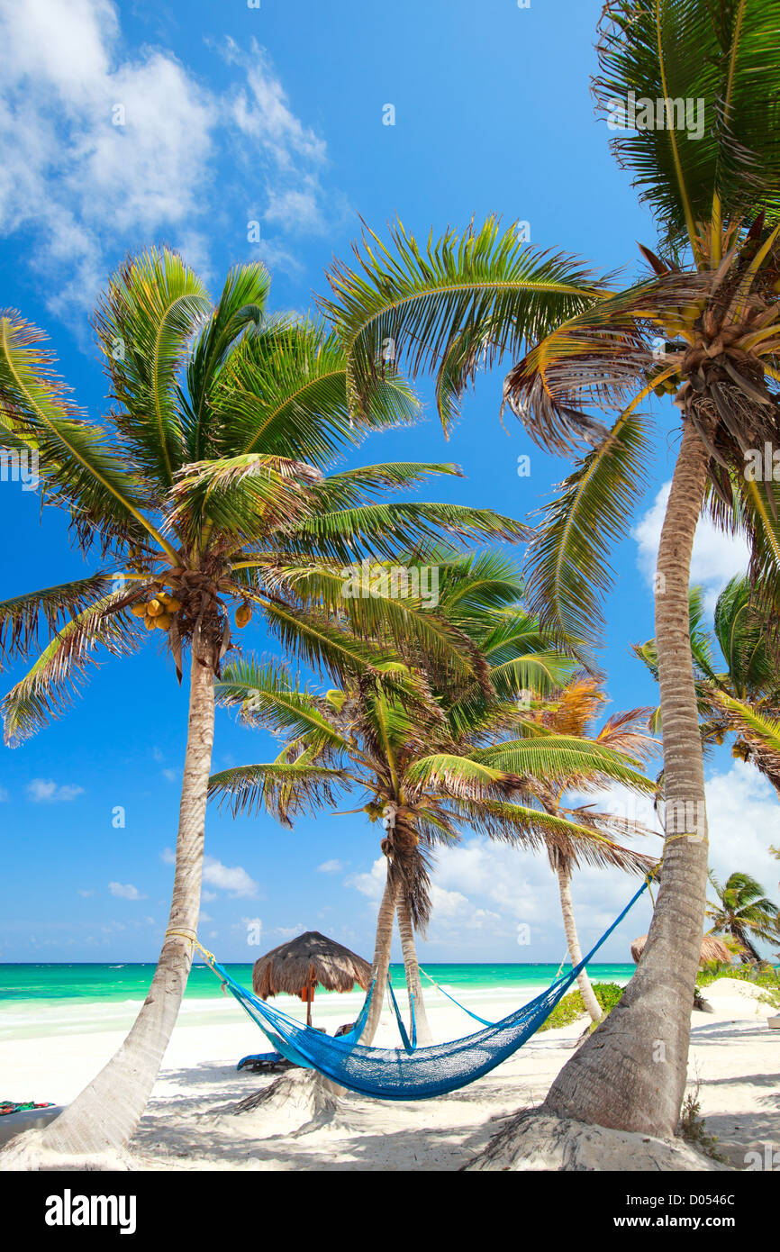 Beautiful Caribbean beach Stock Photo - Alamy