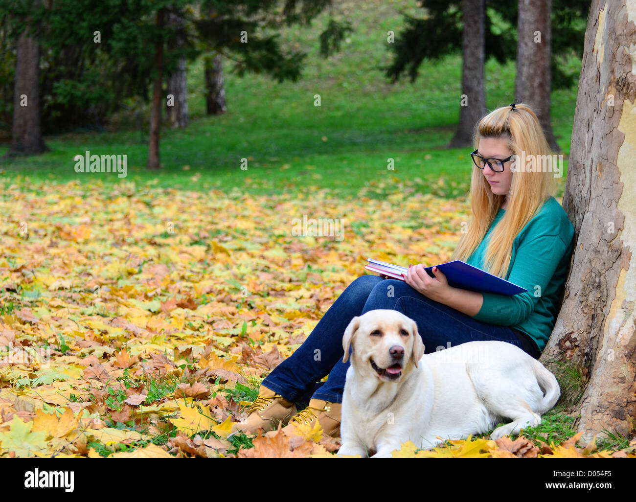 Student girl learning in nature with dog Stock Photo - Alamy