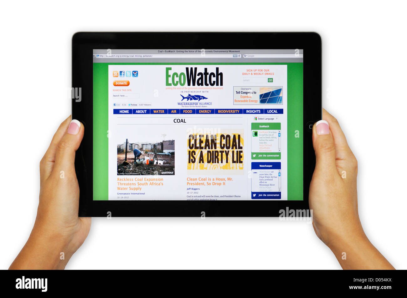 iPad screen showing EcoWatch website - environmental and ecology news ...