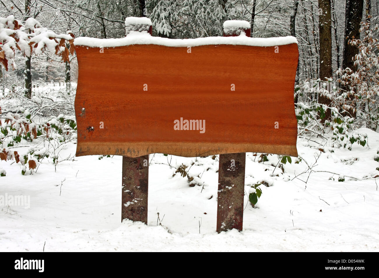Wooden sign in the woods in winter Stock Photo - Alamy