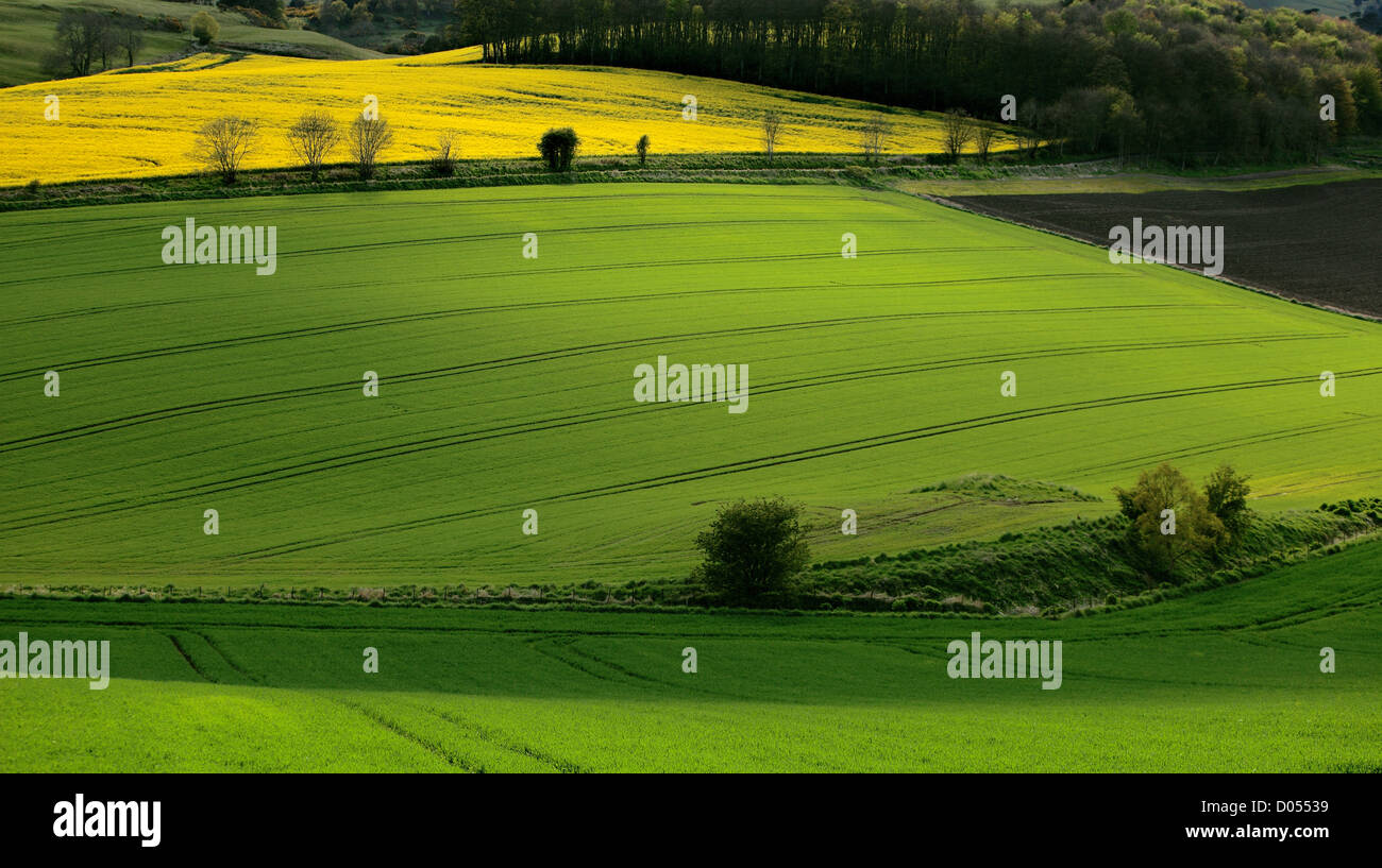 Beautiful fields of Luthrie,Fife,Scotland Stock Photo - Alamy