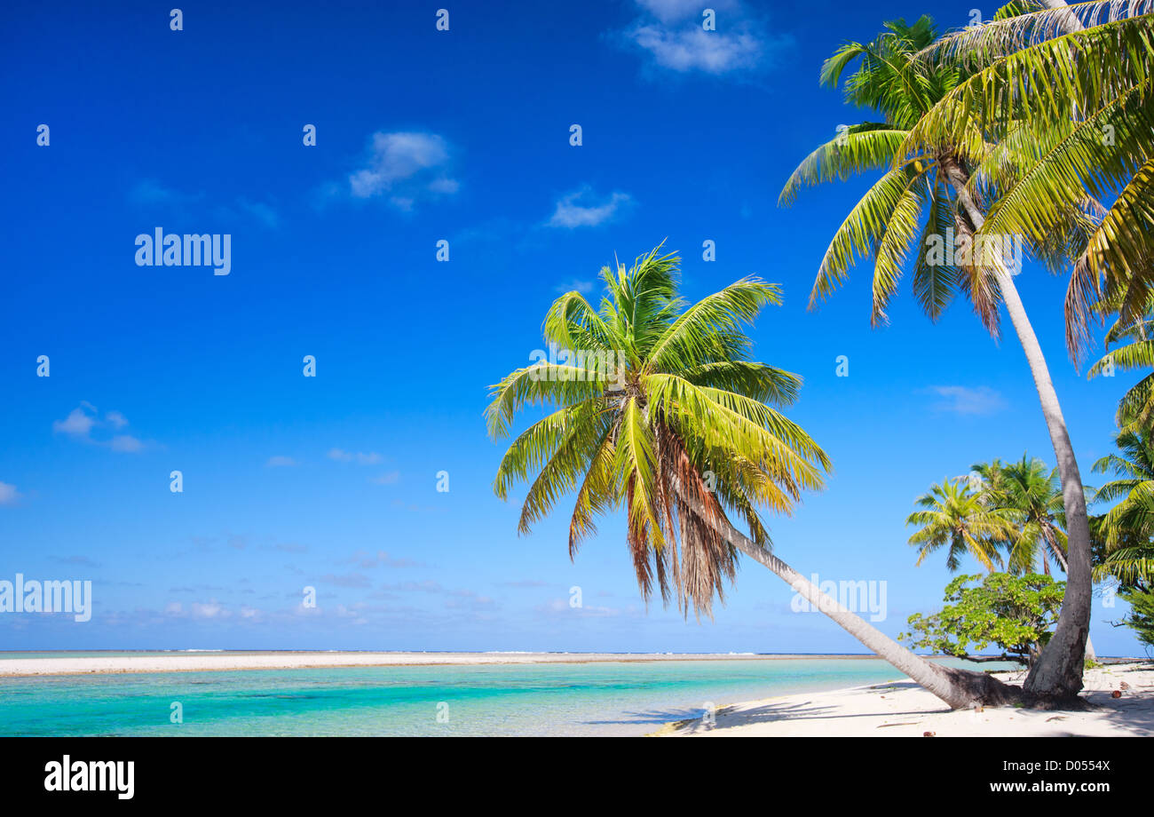 Perfect tropical beach Stock Photo - Alamy