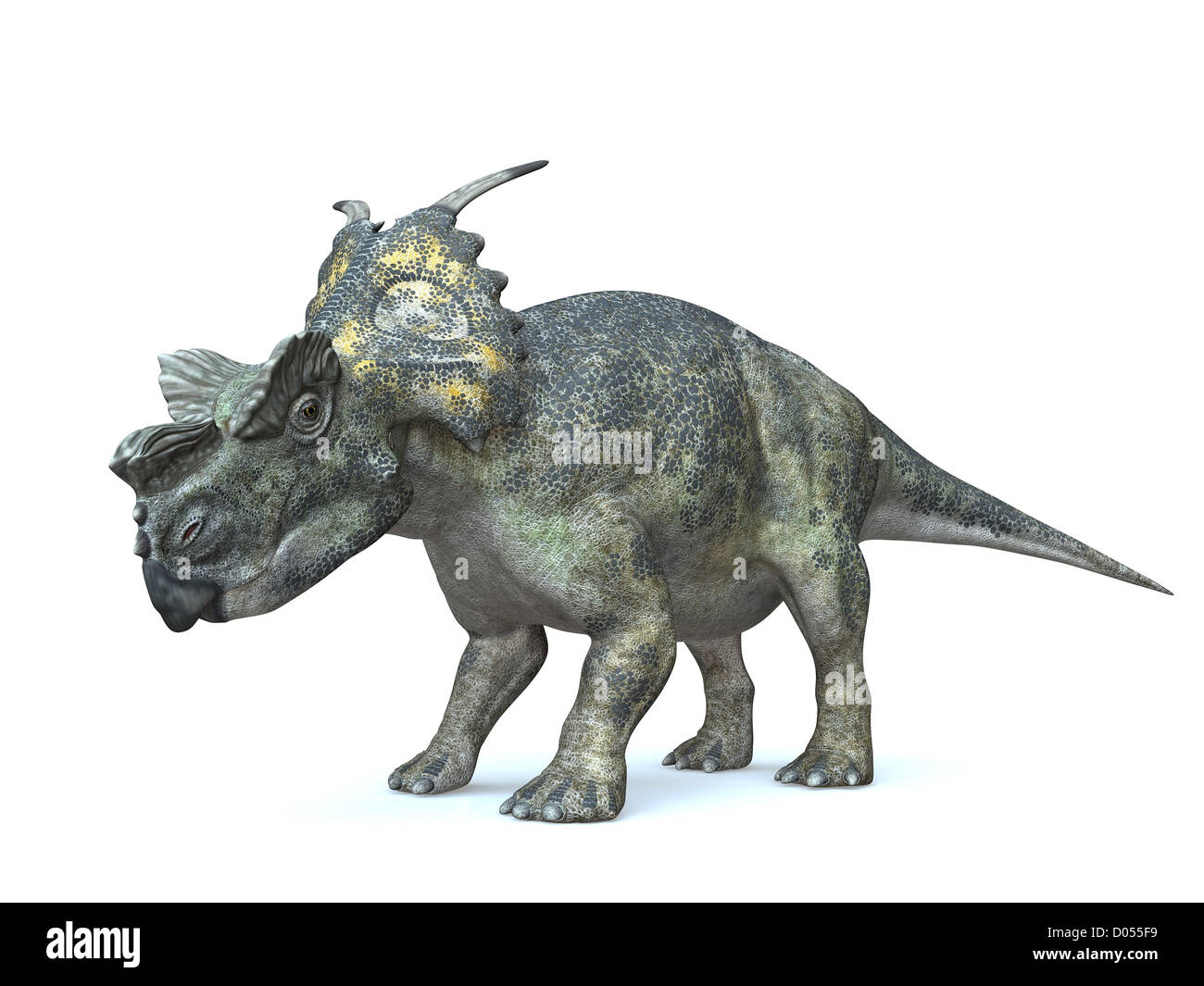 Achelosaurus Dinosaur isolated on white, clipping path included Stock ...