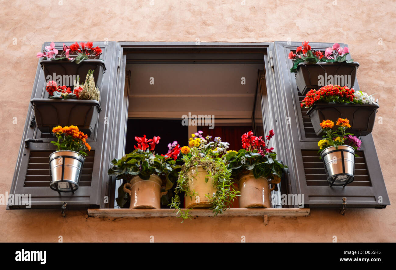 Window with flowers Stock Photo - Alamy