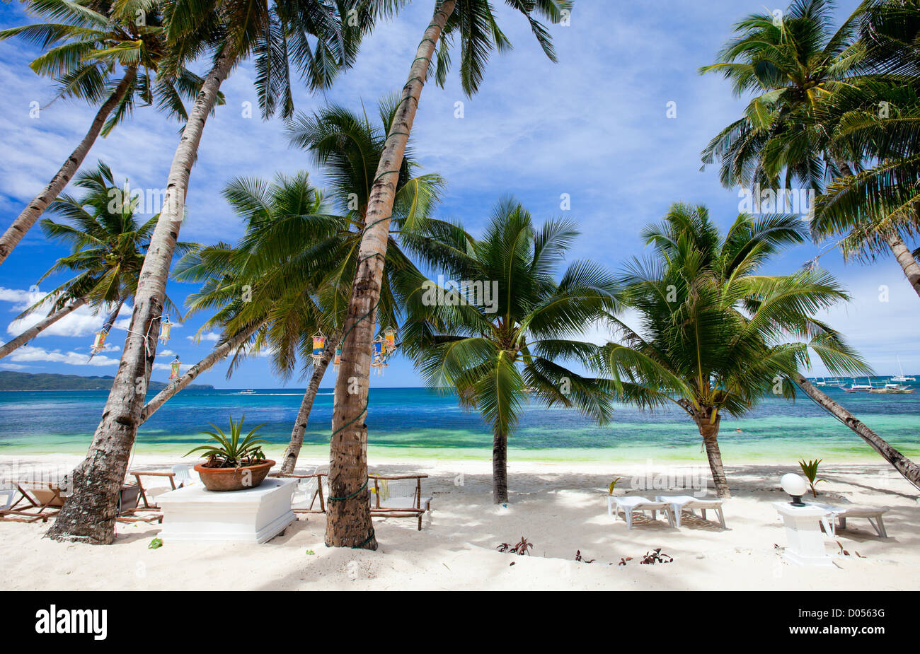 Perfect tropical beach with palm trees Stock Photo - Alamy