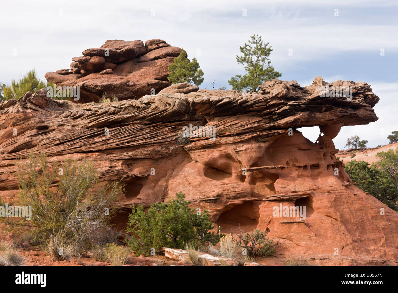 Eroded shapes in Red Wingate sandstone, Long Canyon, near Boulder ...