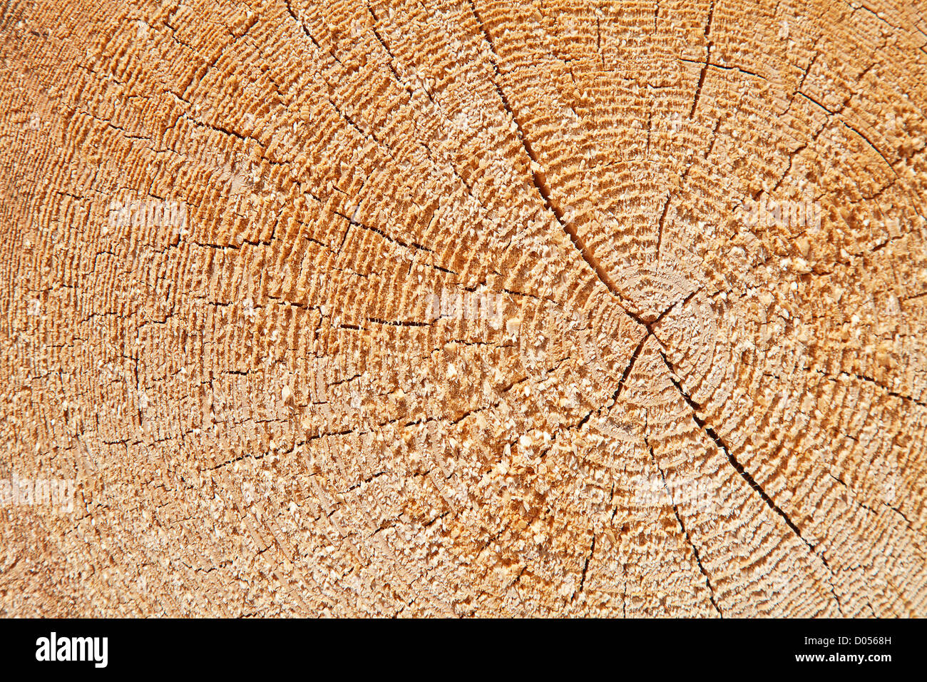 Stack of new wooden studs at the lumber yard Stock Photo - Alamy