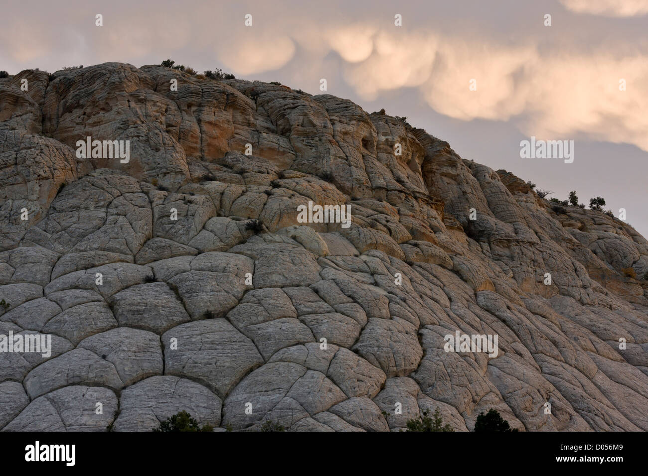 Spectacular cross-bedded Navajo sandstone rock (fossilised sand-dunes ...