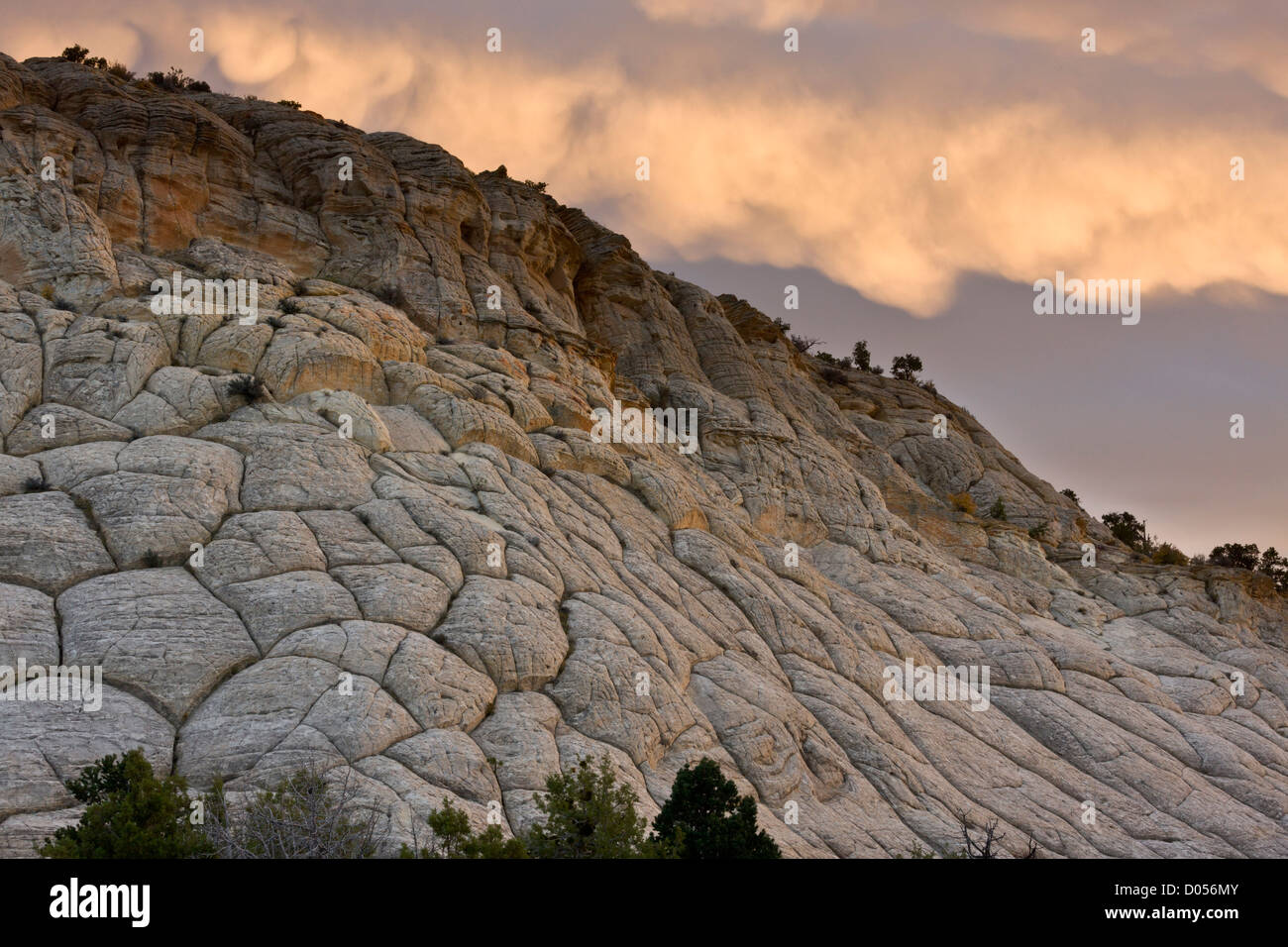 Cross bedded sandstone hi-res stock photography and images - Alamy
