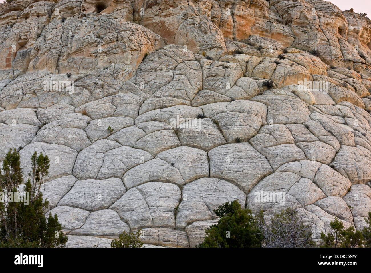 Spectacular cross-bedded Navajo sandstone rock (fossilised sand-dunes ...