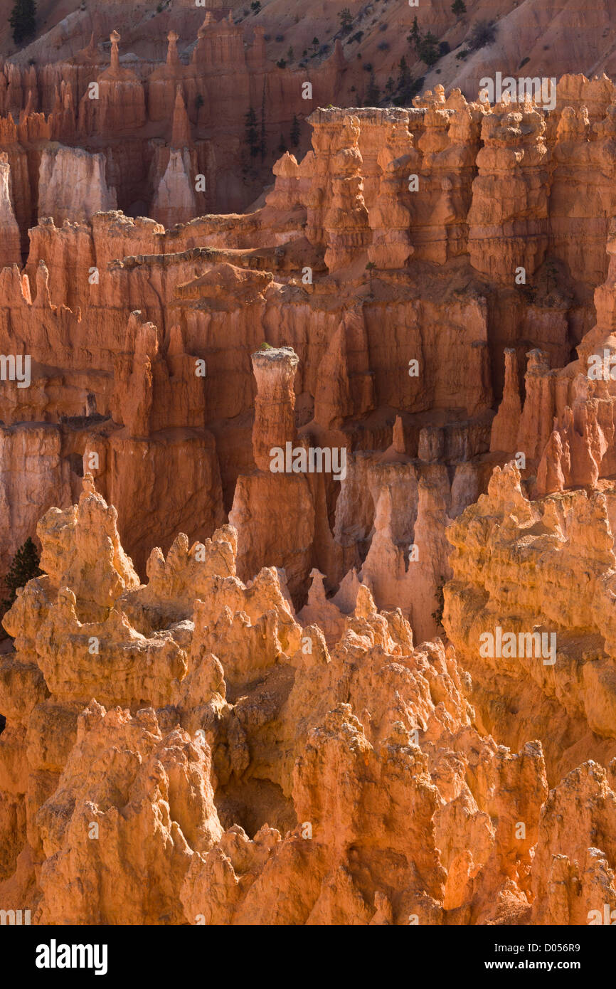 Hoodoos or Rock pillars from erosion in the limestones and other rocks ...