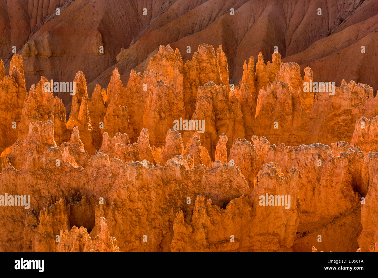 Hoodoos or Rock pillars from erosion in the limestones and other rocks ...