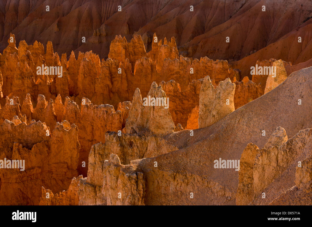 Hoodoos or Rock pillars from erosion in the limestones and other rocks ...