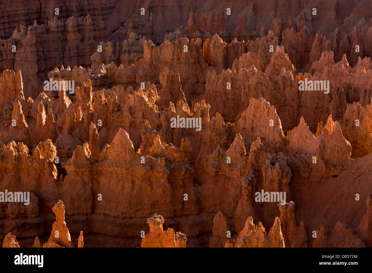 Hoodoos or Rock pillars from erosion in the limestones and other rocks ...