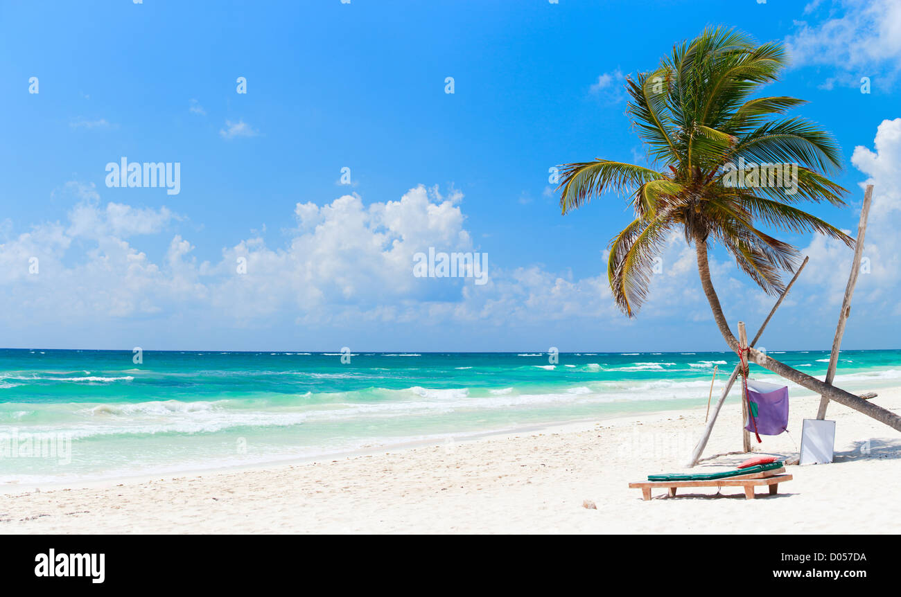 Perfect caribbean bay palm hi-res stock photography and images - Alamy