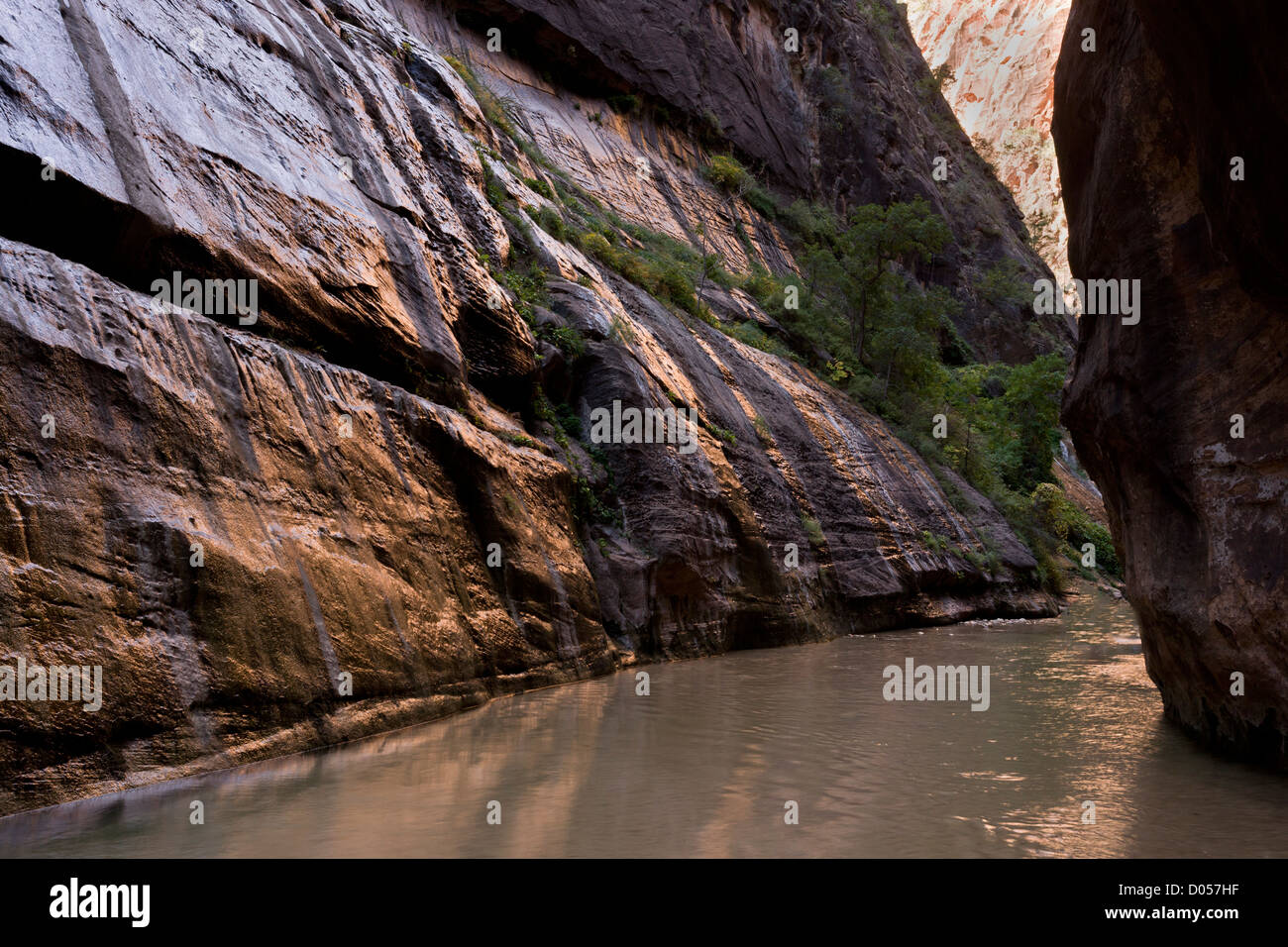 The Narrows, canyon on the North Fork Virgin River, Zion Canyon ...