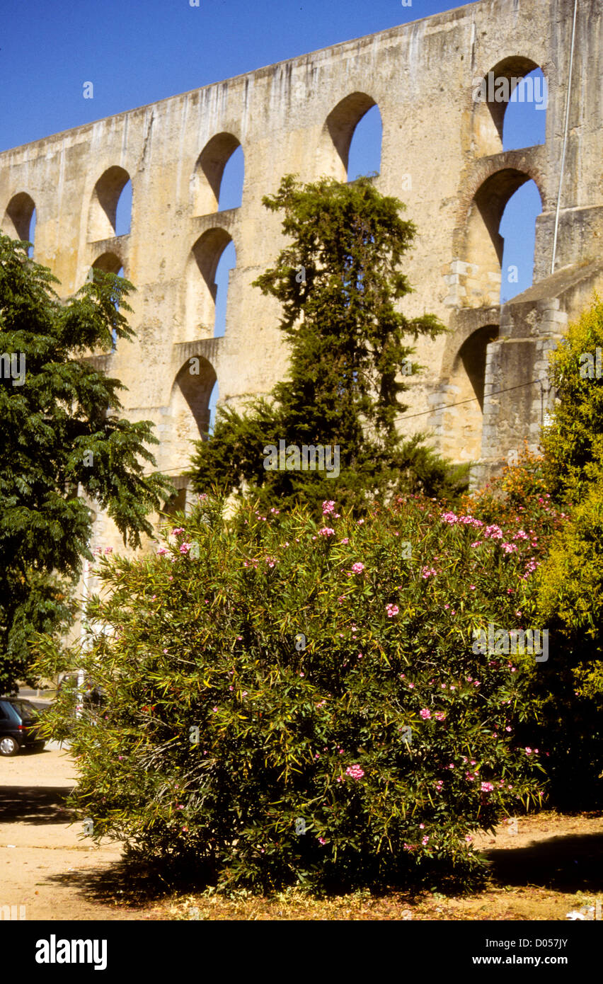 Hilltop Towns,Ancient Roman Landscapes,Cork,Orange,Lemon,Wine growing ...