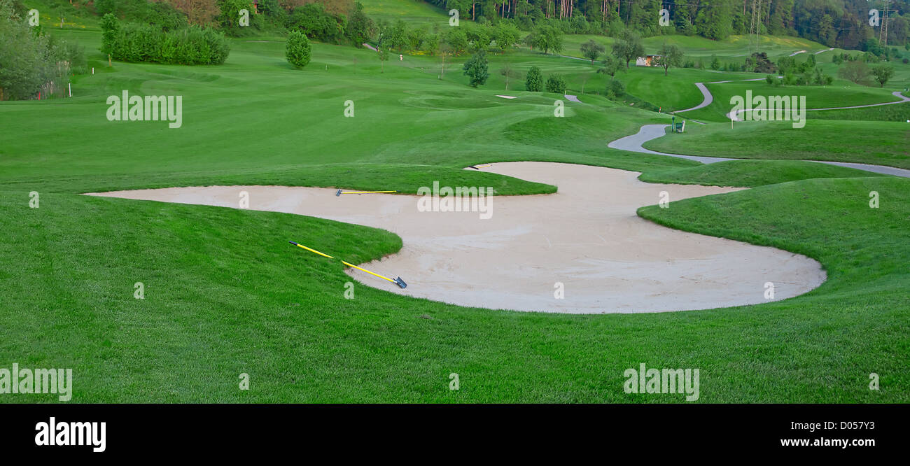 green grass of the golf course Stock Photo - Alamy