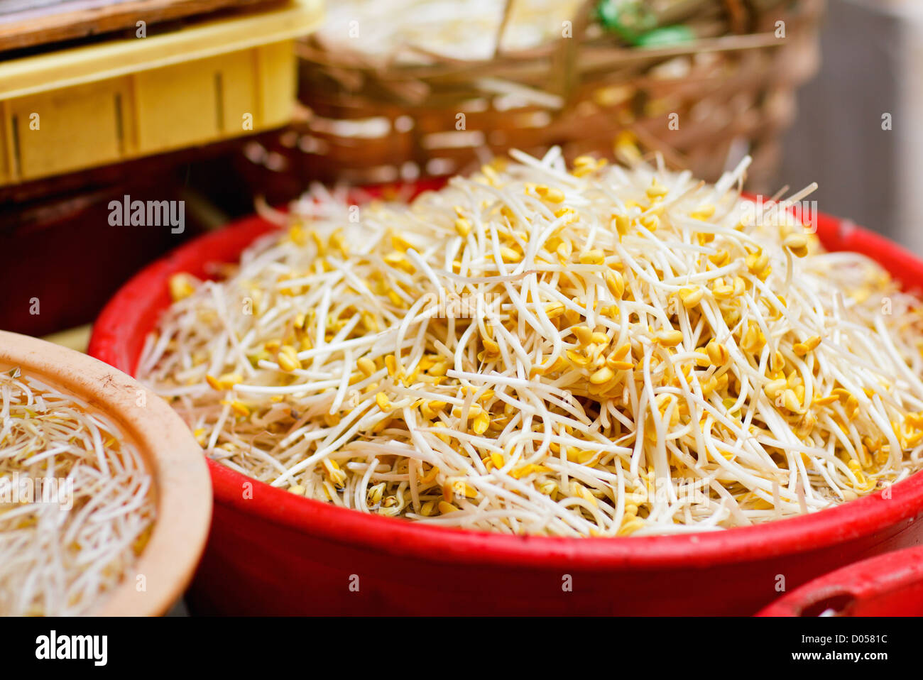 Soybean sprout hi-res stock photography and images - Alamy