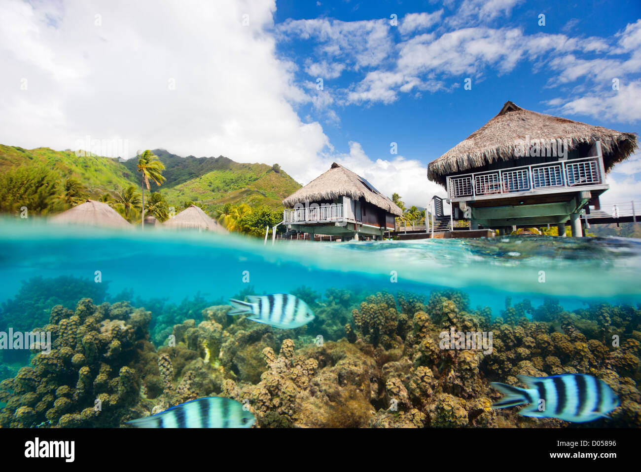 Moorea island reef hi-res stock photography and images - Alamy